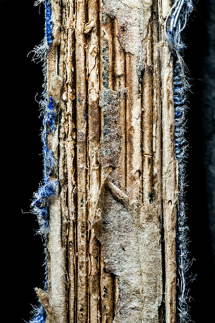 Yuri Dojc: Spine 1