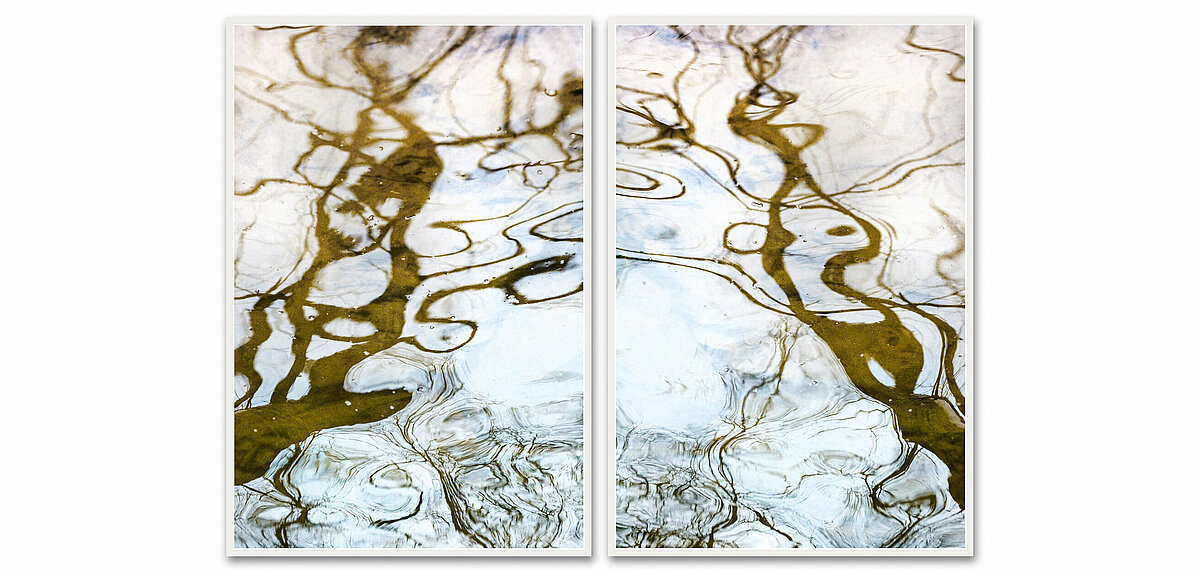 Thomas Brummett: This Shimmering World